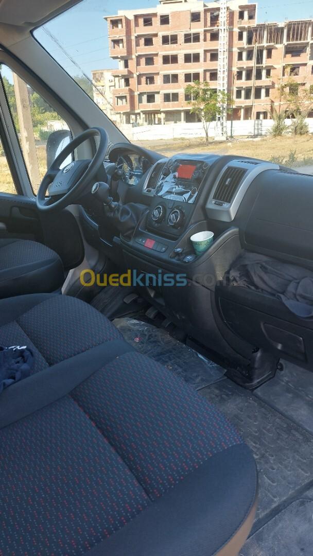 Fiat Dekato 2024 - Annaba Algeria