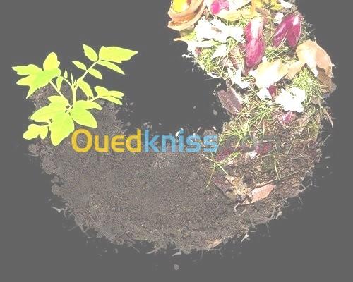 formation compost Oran Es senia - Ouedkniss.com - Algérie