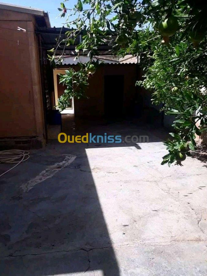 Vente bien immobilier Ain defla El attaf - Aïn Defla Algérie