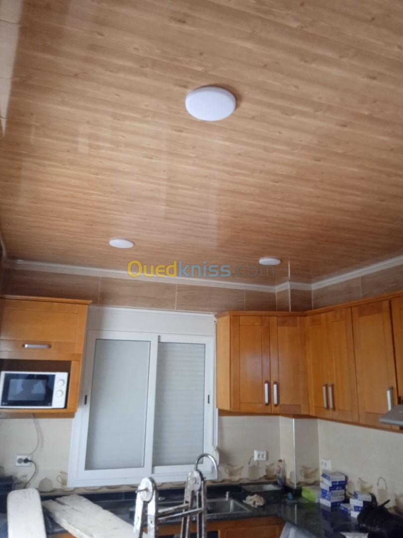 Foux plafond ba13 pvc - Alger Algérie