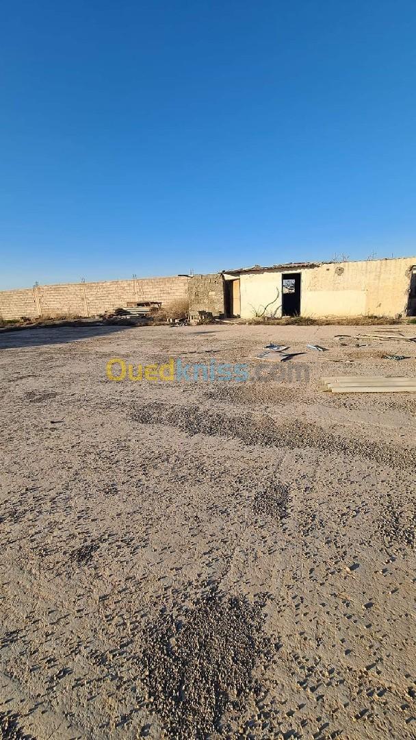 Sell Land Sidi Bel Abbès Sidi bel abbes - Sidi Bel Abbès Algeria