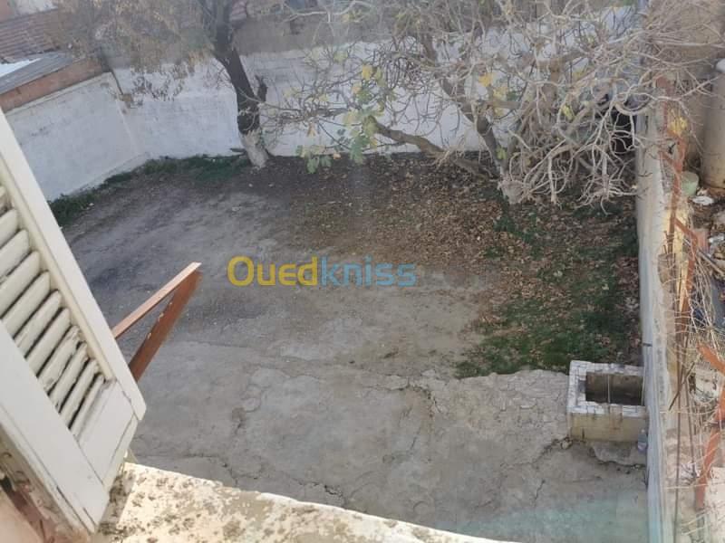 Vente Terrain Blida Larbaa - Blida Algérie