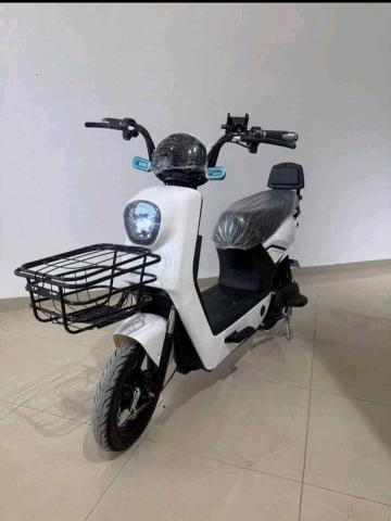 Dora pro max Dora pro max 2025 Blida Blida - Ouedkniss.com - Algérie
