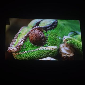 Iris 55" qled+ 4k 120hz Google tv Dolby vision-atmos model tali Aïn ...