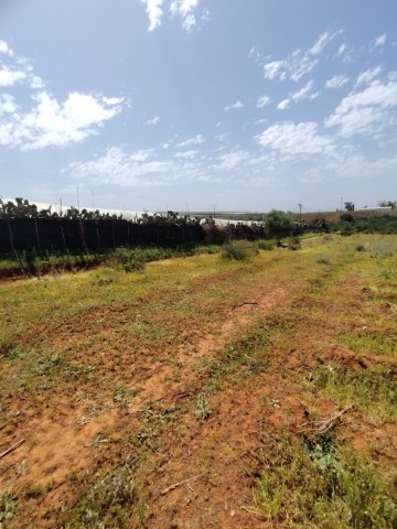 Vente Terrain Agricole Blida Mouzaia Blida Mouzaia - Ouedkniss.com - Algérie