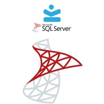 LICENCES MICROSOFT SQL SERVER Alger Bordj el bahri - Ouedkniss.com - Algérie