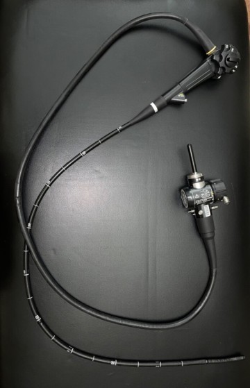 Tube olympus GIF-Q145 تلمسان تلمسان - واد كنيس - الجزائر