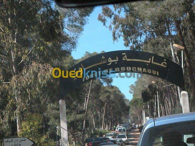 Vente Terrain Alger Cheraga Alger Cheraga - Ouedkniss.com - Algérie