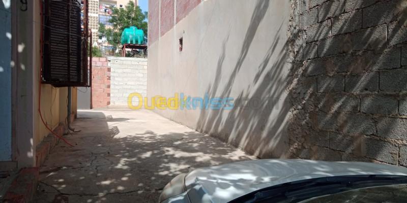 Vente bien immobilier El taref Besbes - Ouled Djellal Algérie