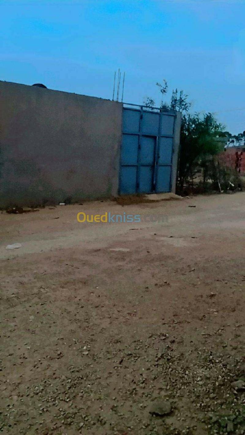 Vente bien immobilier Tiaret Mahdia - Tiaret Algérie