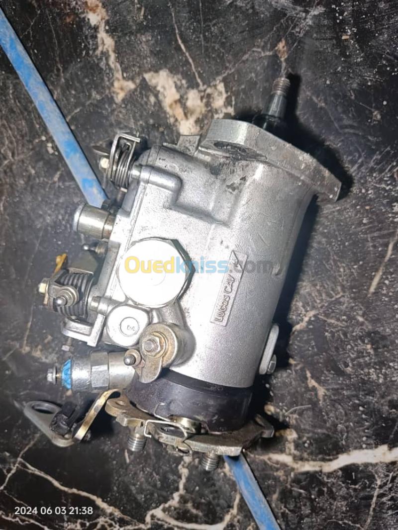 Merouana - Batna Algeria