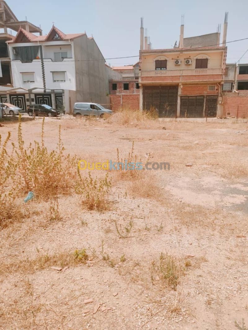 Vente Terrain Blida Chiffa Blida Chiffa - Ouedkniss.com - Algérie