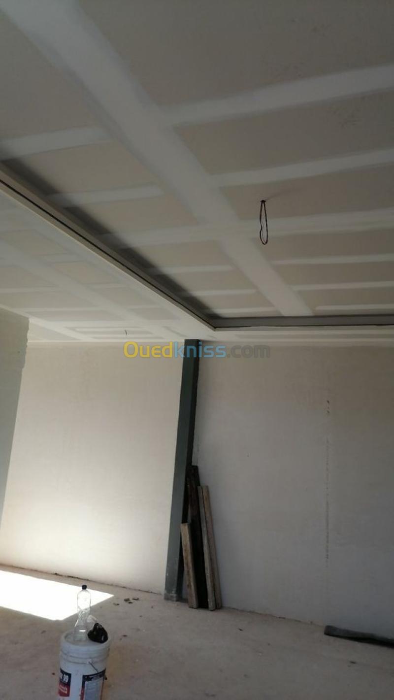 Faux Plafond Placoplatre BA13 BA10 ET PVC Alger Birtouta - Ouedkniss ...