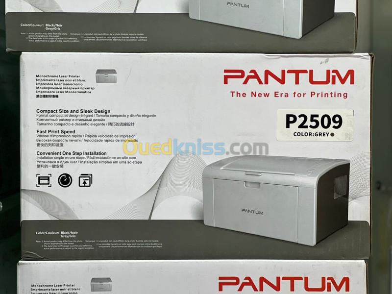 IMPRIMANTE LASER PANTUM P2509 Alger Kouba - Ouedkniss.com - Algérie