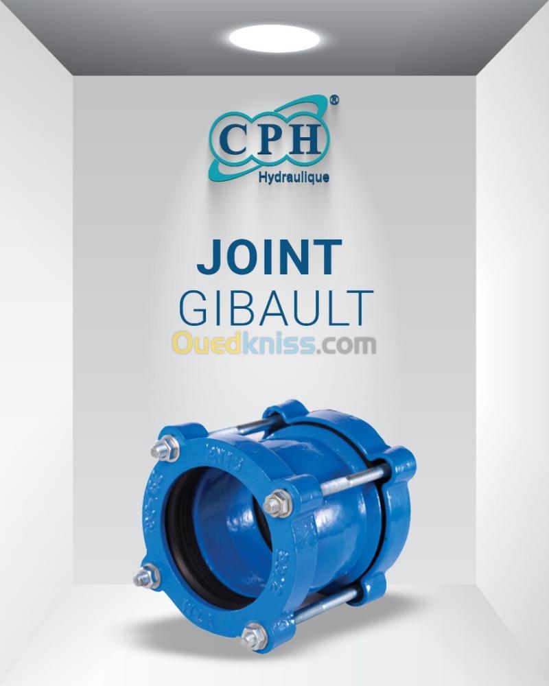 JOINT GIBAULT POUR TUBE FONTE / PVC / PE - Alger Algérie